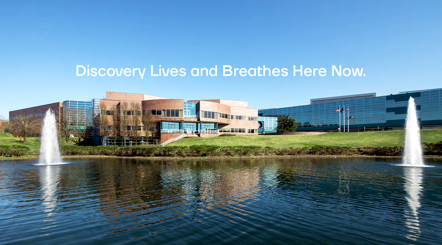 Welcome to The Discovery Labs