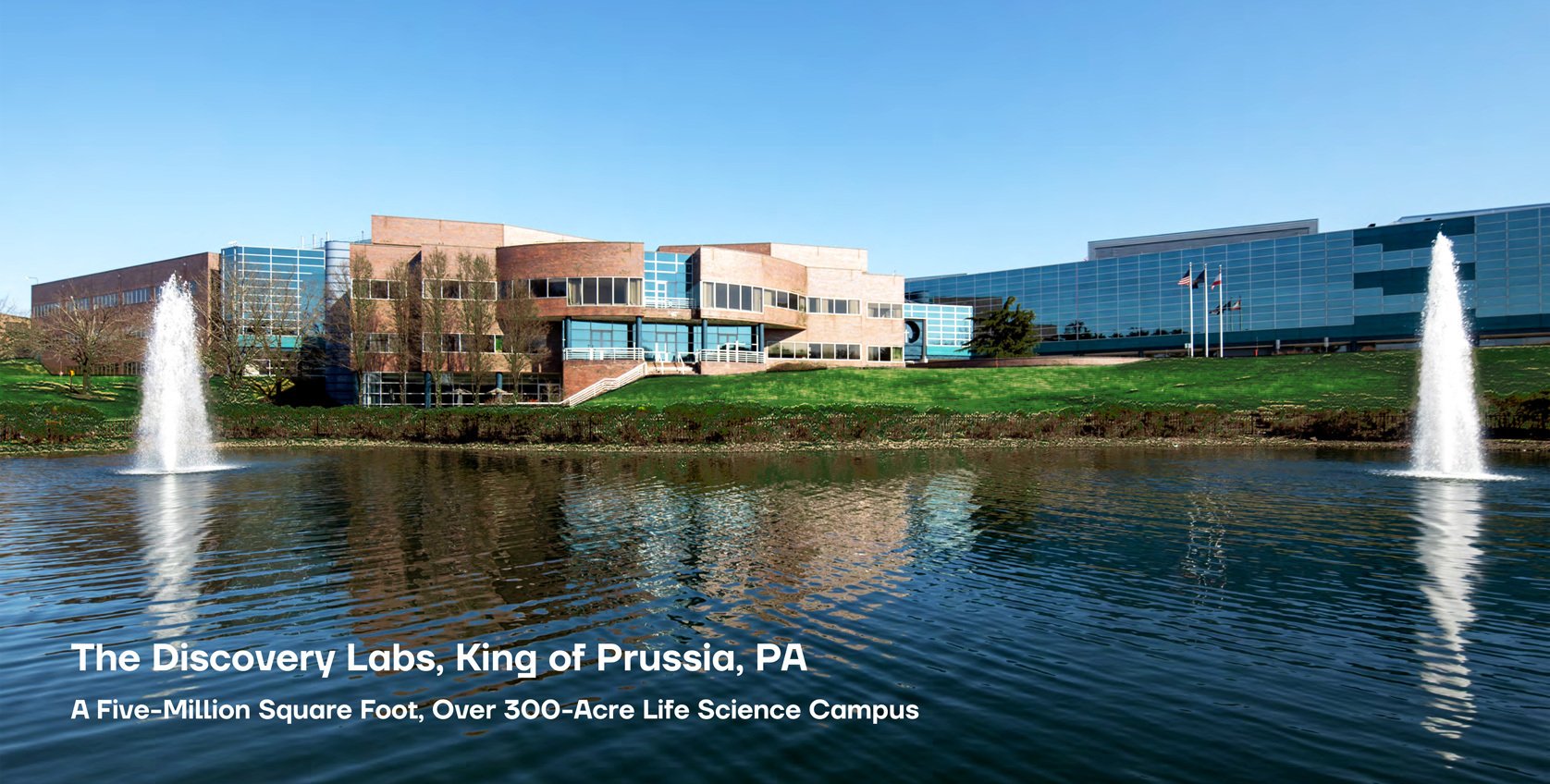 Welcome to The Discovery Labs